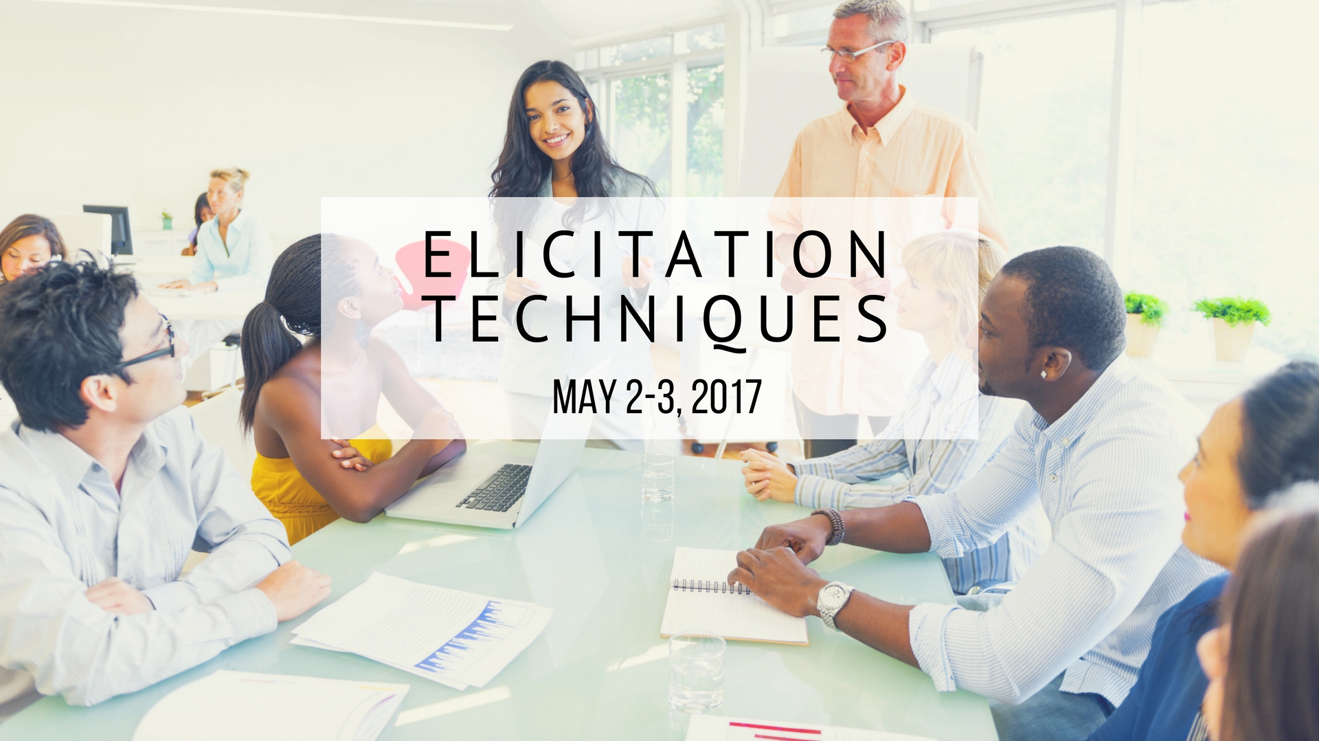 Elicitation Techniques DigiLEAF Elicitation Techniques DigiLEAF